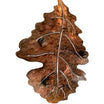 Leaf Sculpture Metal Wall or Table Decor – Seventy Fifty-Five Incorporated